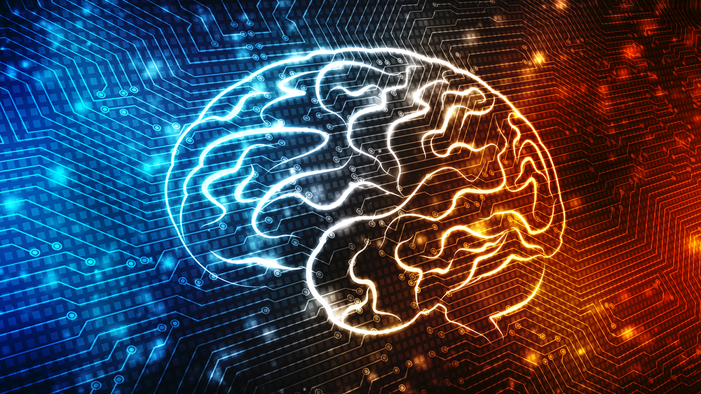 Newly-Discovered Brain Cell | The Institute for Creation Research Newly-Discovered Brain Cell | The Institute for Creation Research